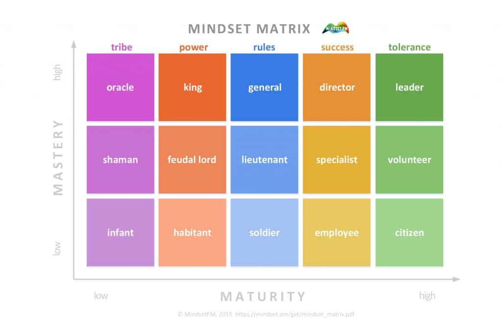 Mastery vs Maturity in Management - MindsetPM Management School